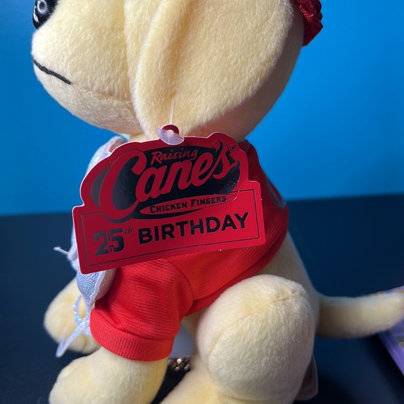 Raising Canes | Toys | Raising Canes 25th Birthday Plush Puppy | Poshmark